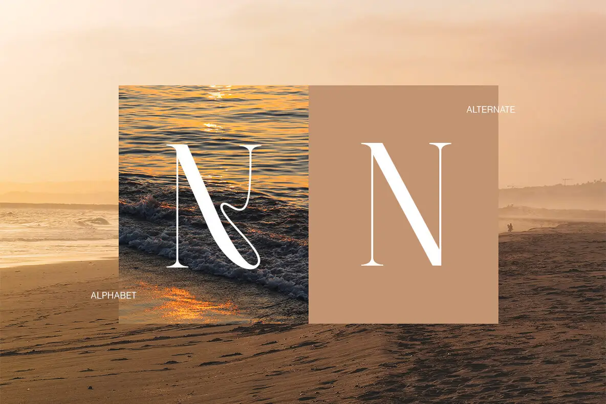 Ola Braga Font - YouWorkForThem