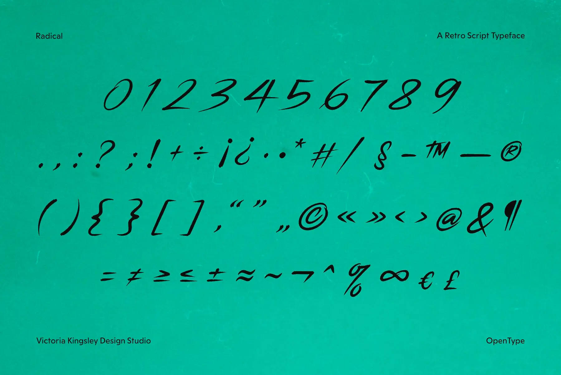 Experience the '80s Vibe with Radical Script Font - YouWorkForThem