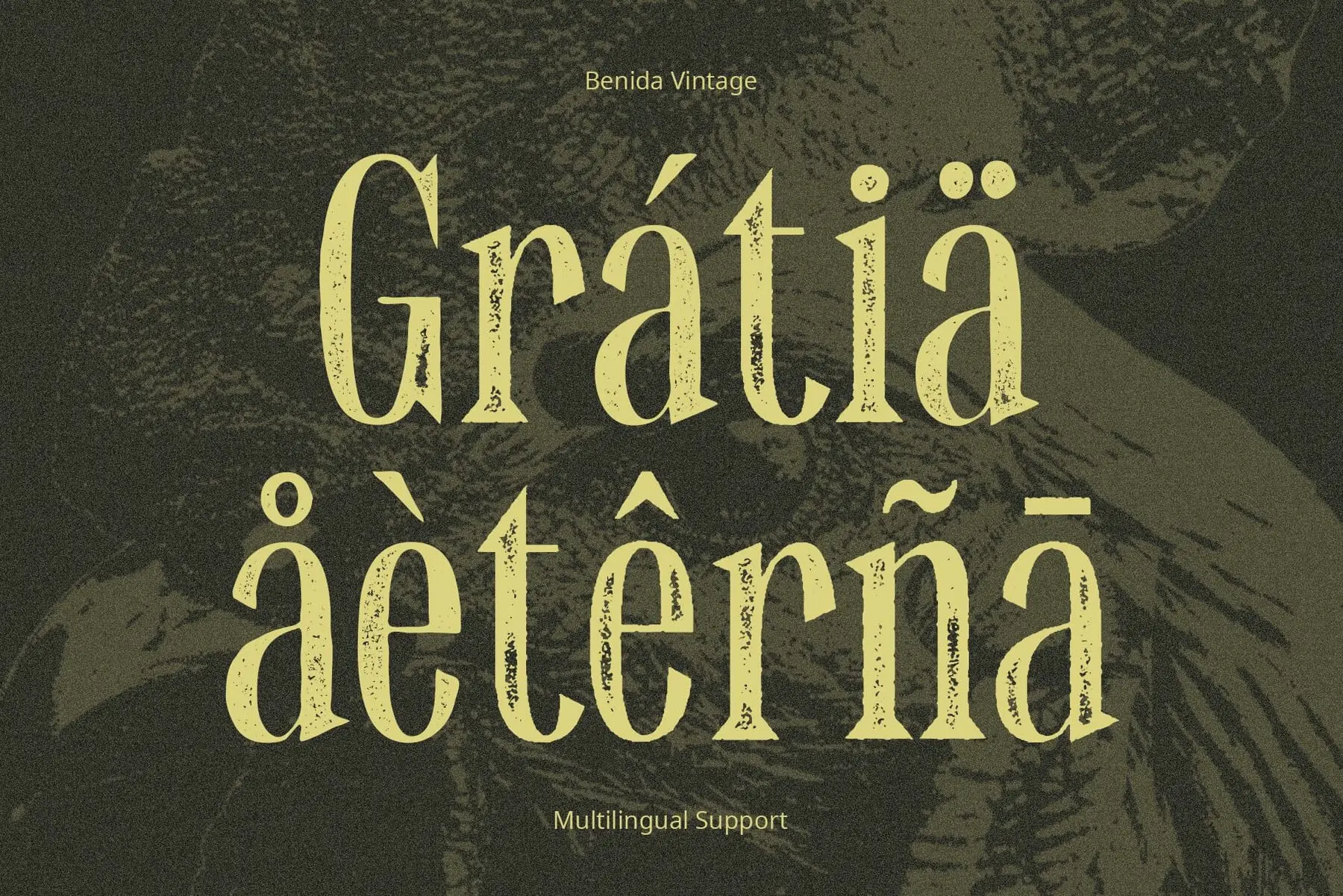 Benida Vintage Font - FontPath