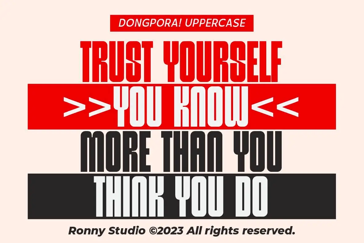 Dongpora Font - YouWorkForThem