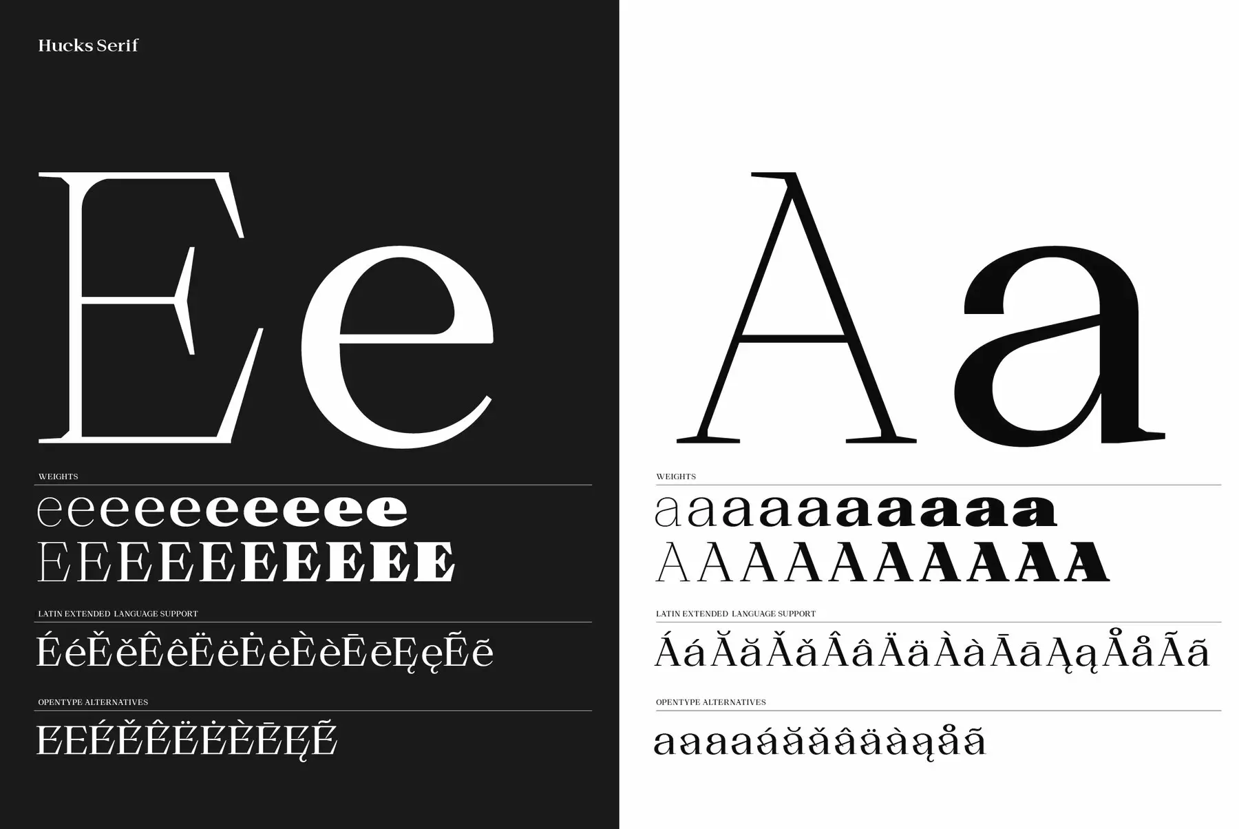 Hucks Serif Font - YouWorkForThem