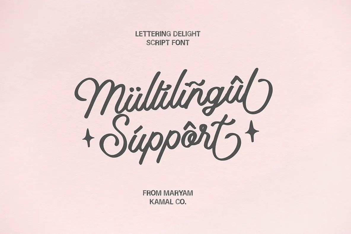 Lettering Delight Font - YouWorkForThem