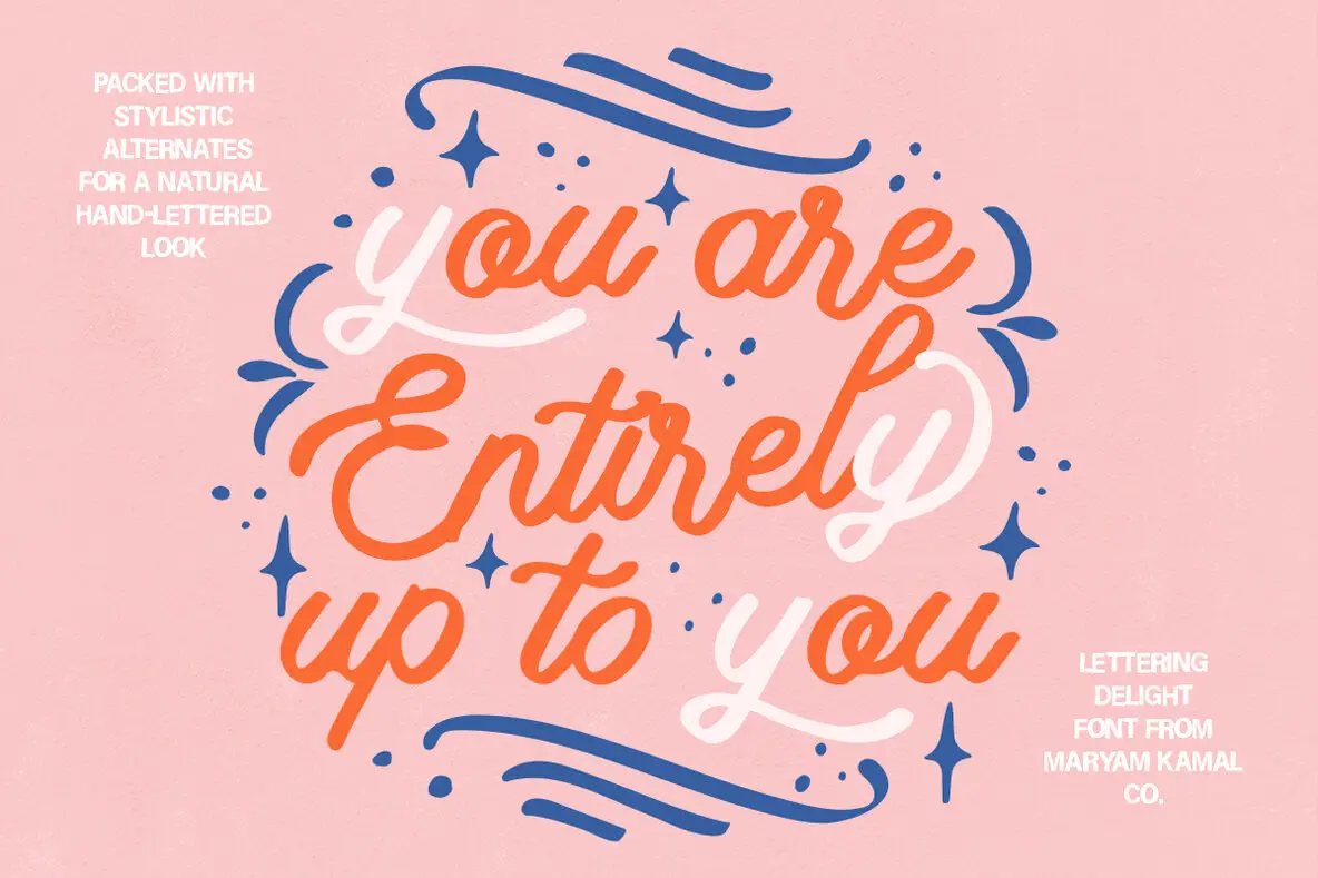 Lettering Delight Font - YouWorkForThem