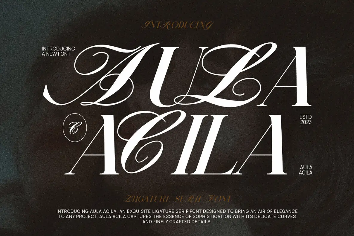 Aula Acila Font - YouWorkForThem