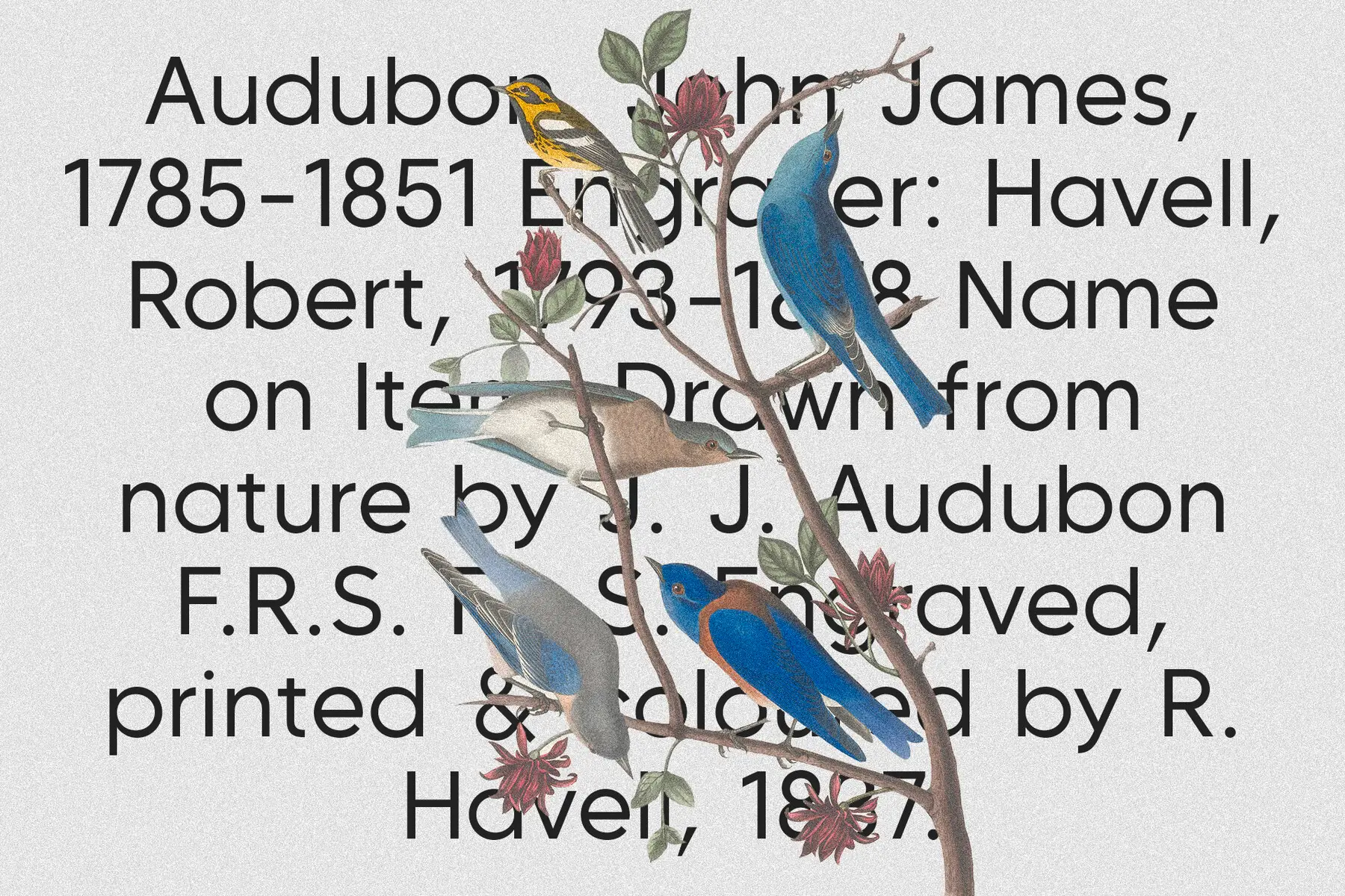 MADE CARVING Font - YouWorkForThem