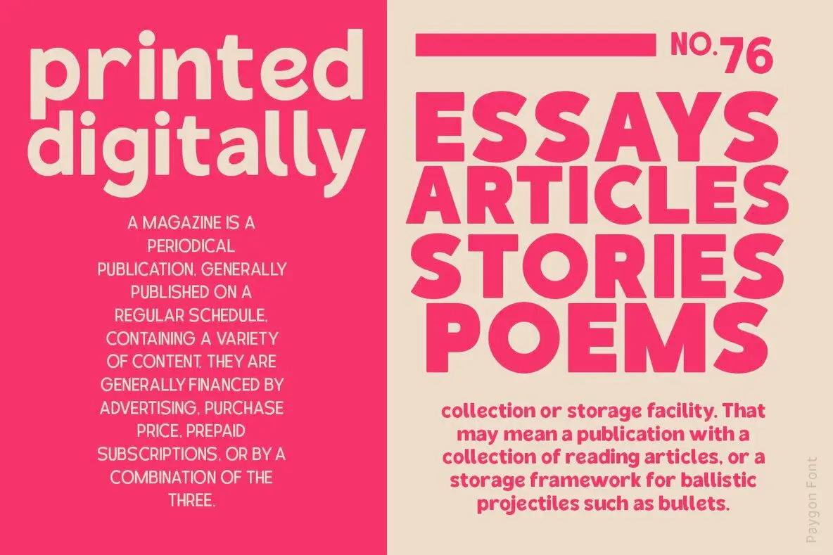 Paygon Font - YouWorkForThem