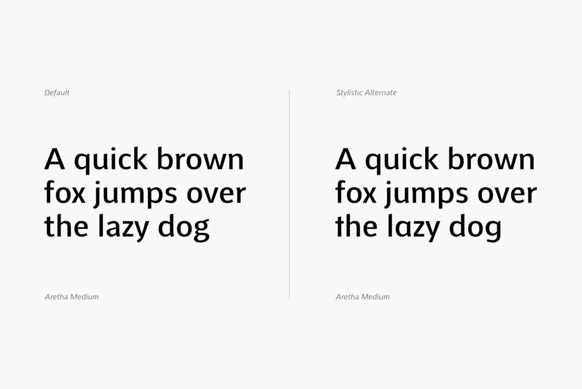 Aretha Font - YouWorkForThem