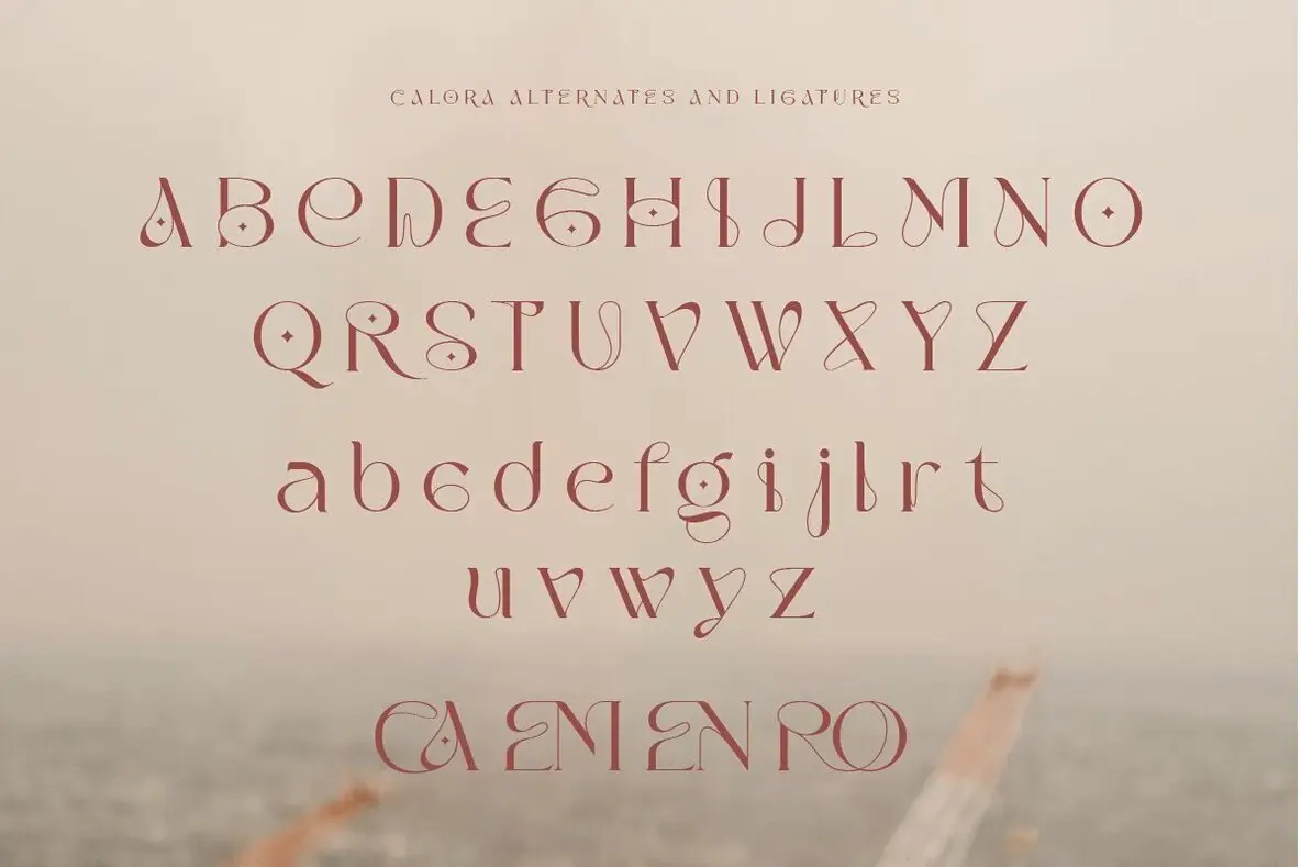 Calora Font - YouWorkForThem
