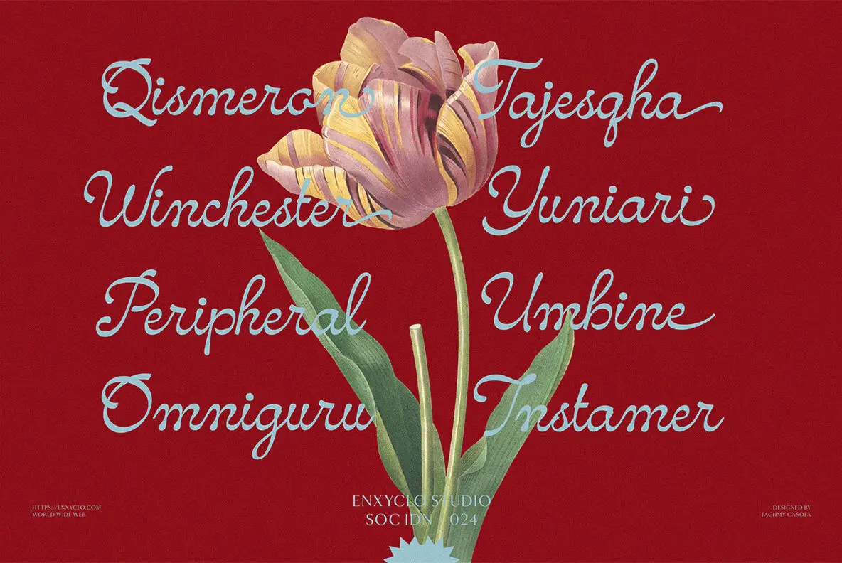 NCL Amhiney Font - YouWorkForThem