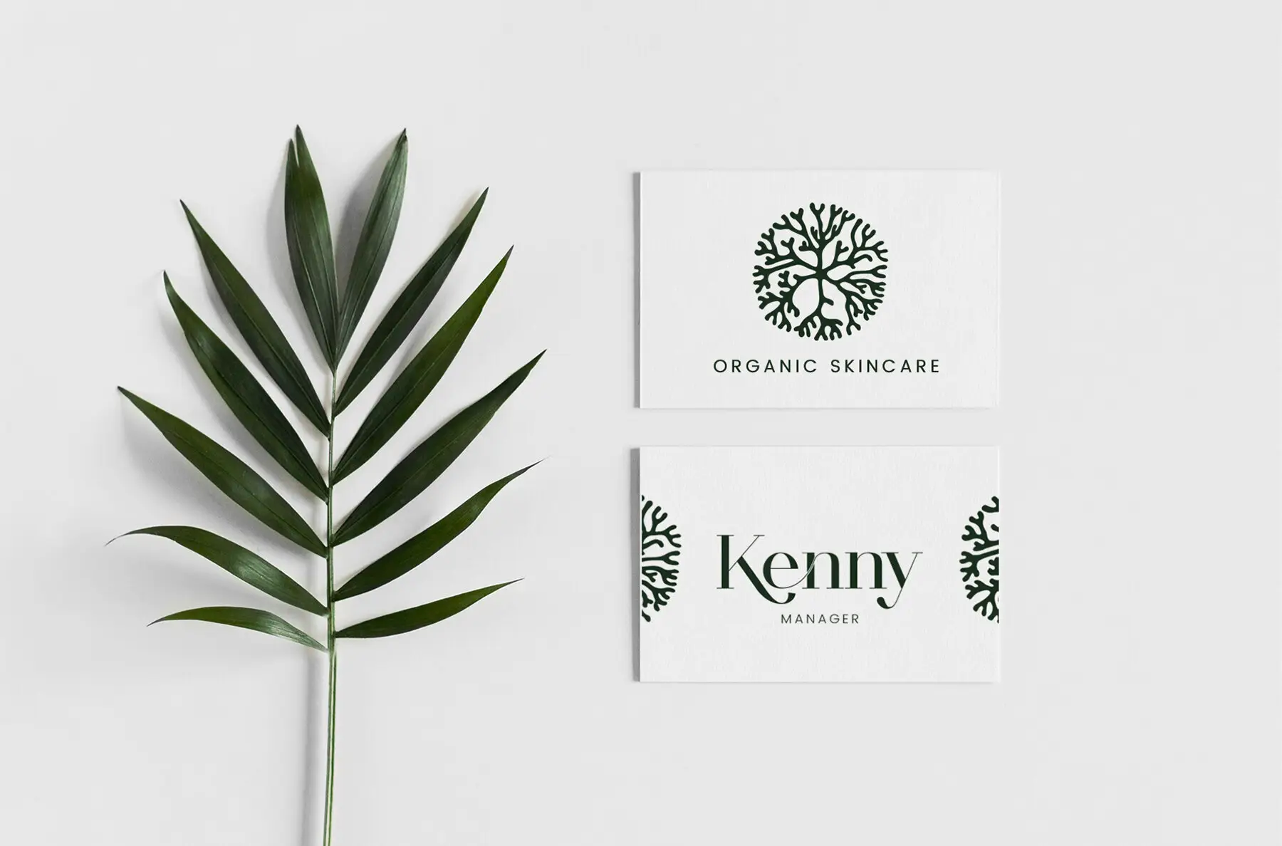 Bethia Font - YouWorkForThem