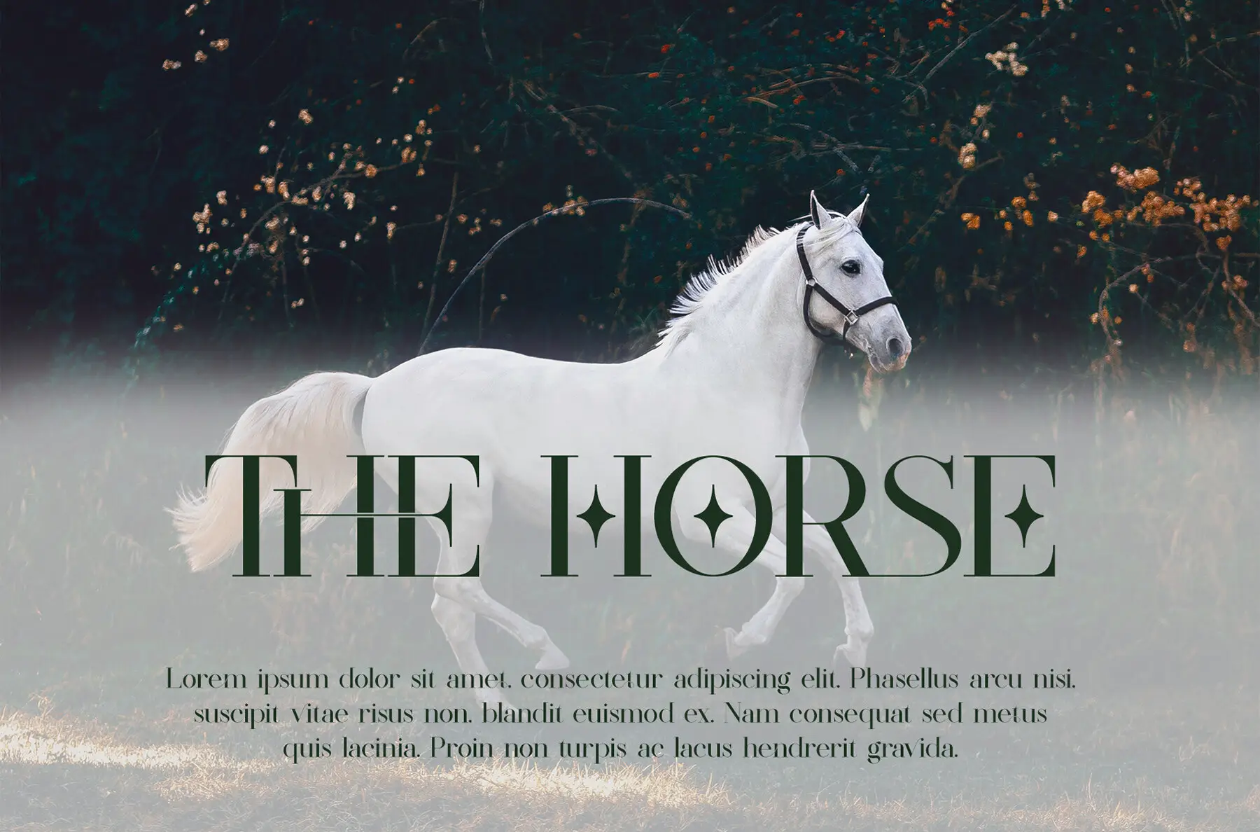 Bethia Font - YouWorkForThem