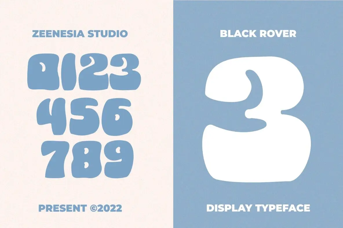 Black Rover Font - YouWorkForThem