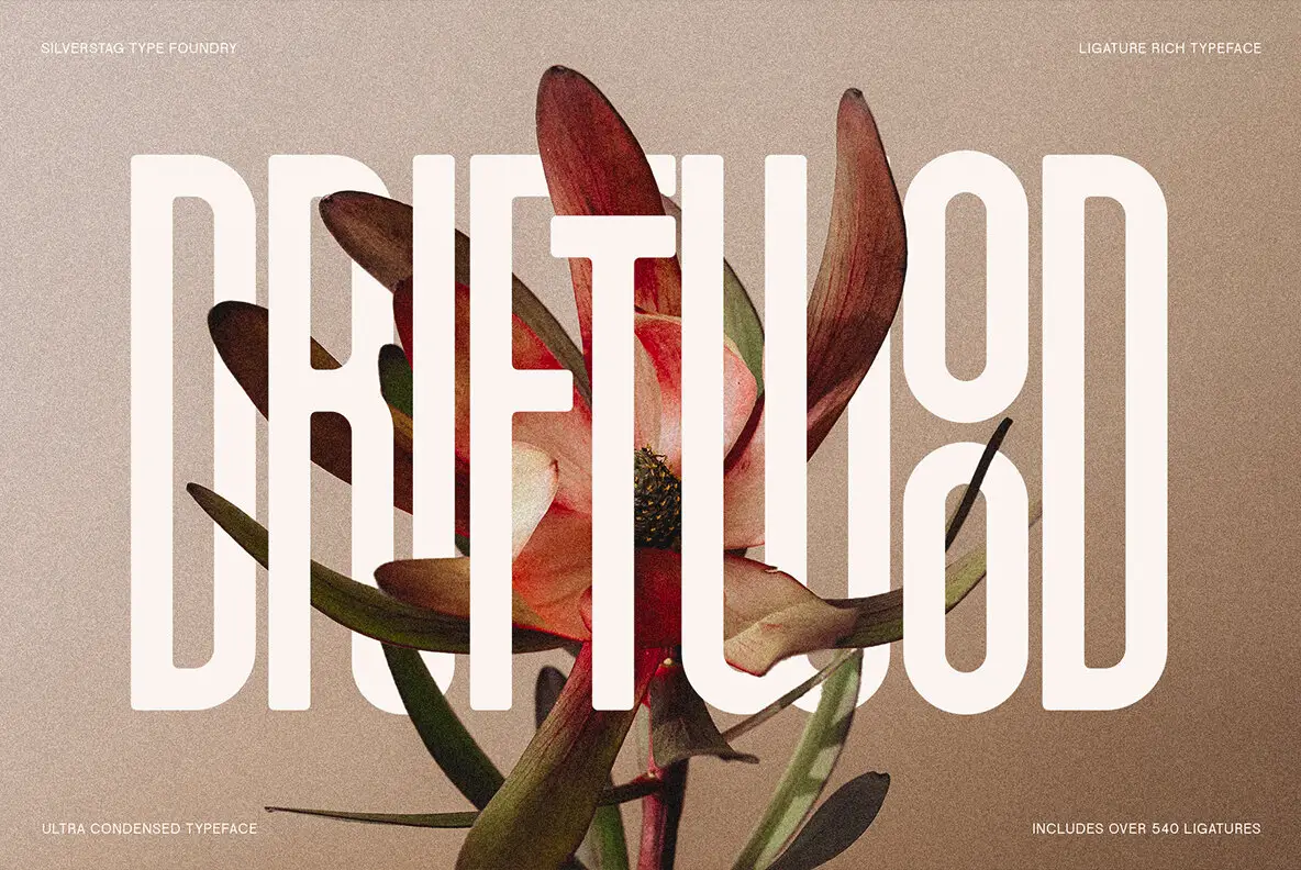 First Contact Font - YouWorkForThem