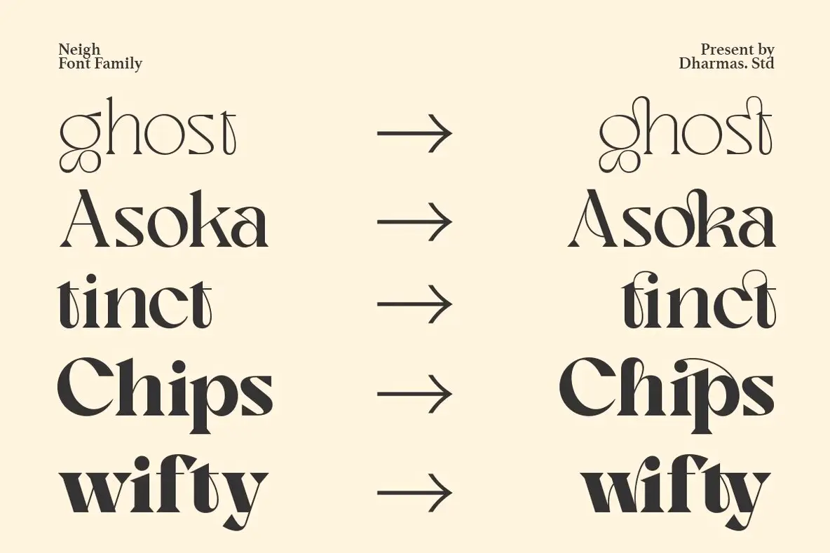 Neigh Font - YouWorkForThem