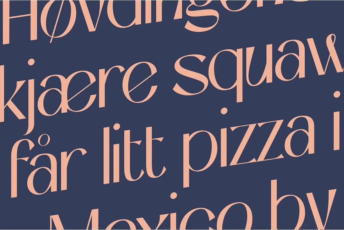 Niasec Lux Font - YouWorkForThem