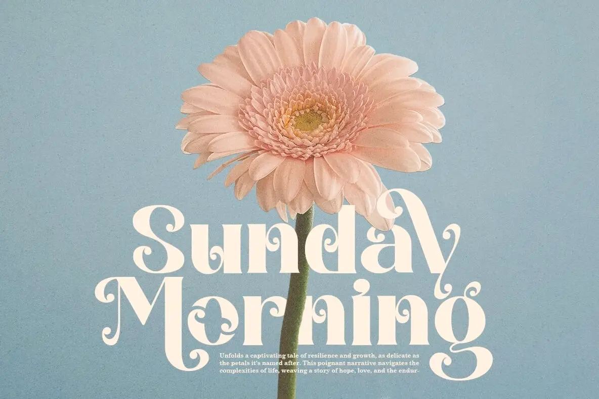 Mango Creamy Font - FontPath