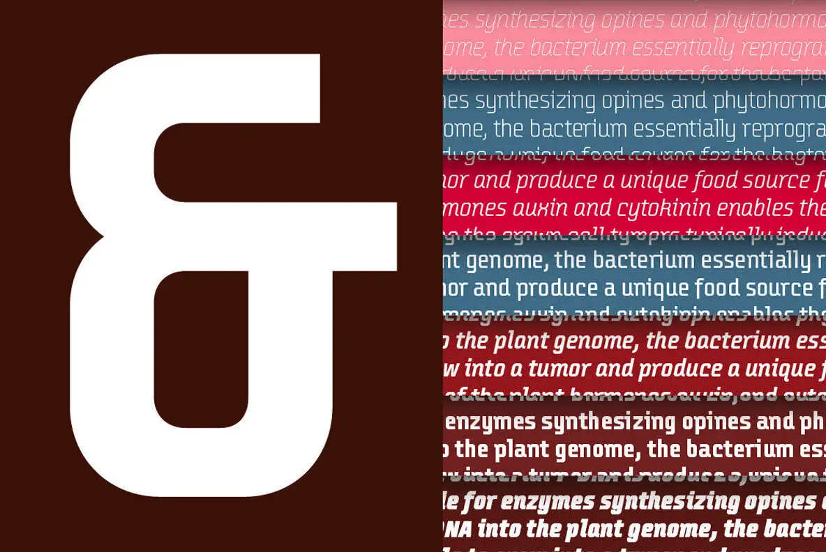 Transfer Font - YouWorkForThem