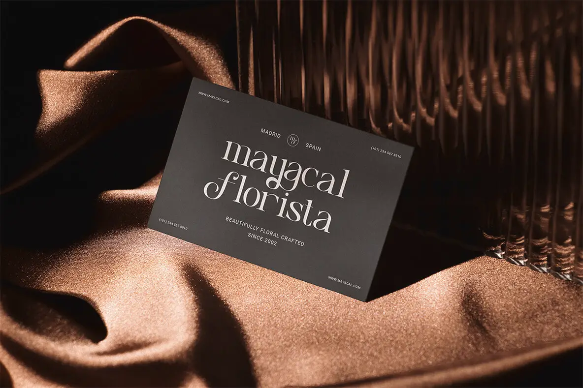 Luxe Bonanza Font - YouWorkForThem