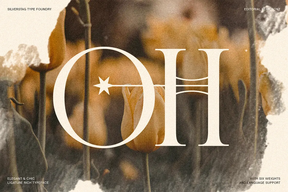 Cosmic Solace Typeface Font - FontPath