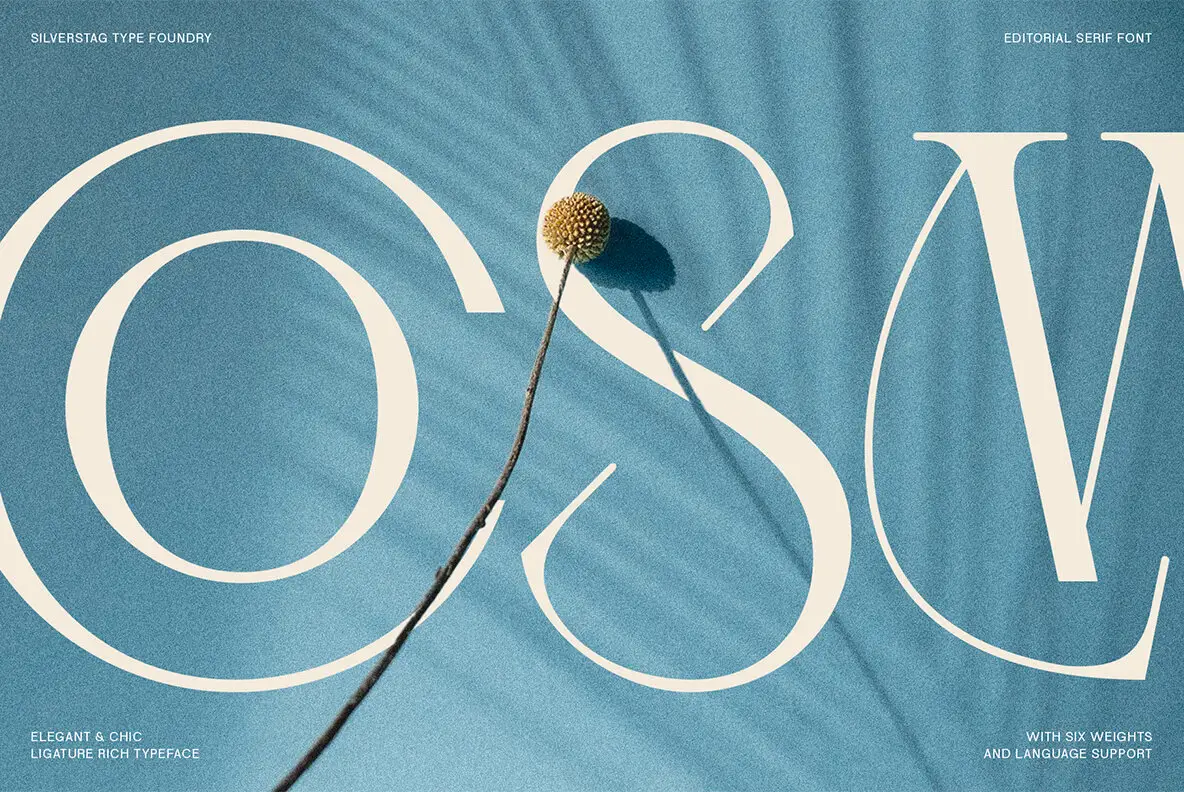 Cosmic Solace Typeface Font - FontPath