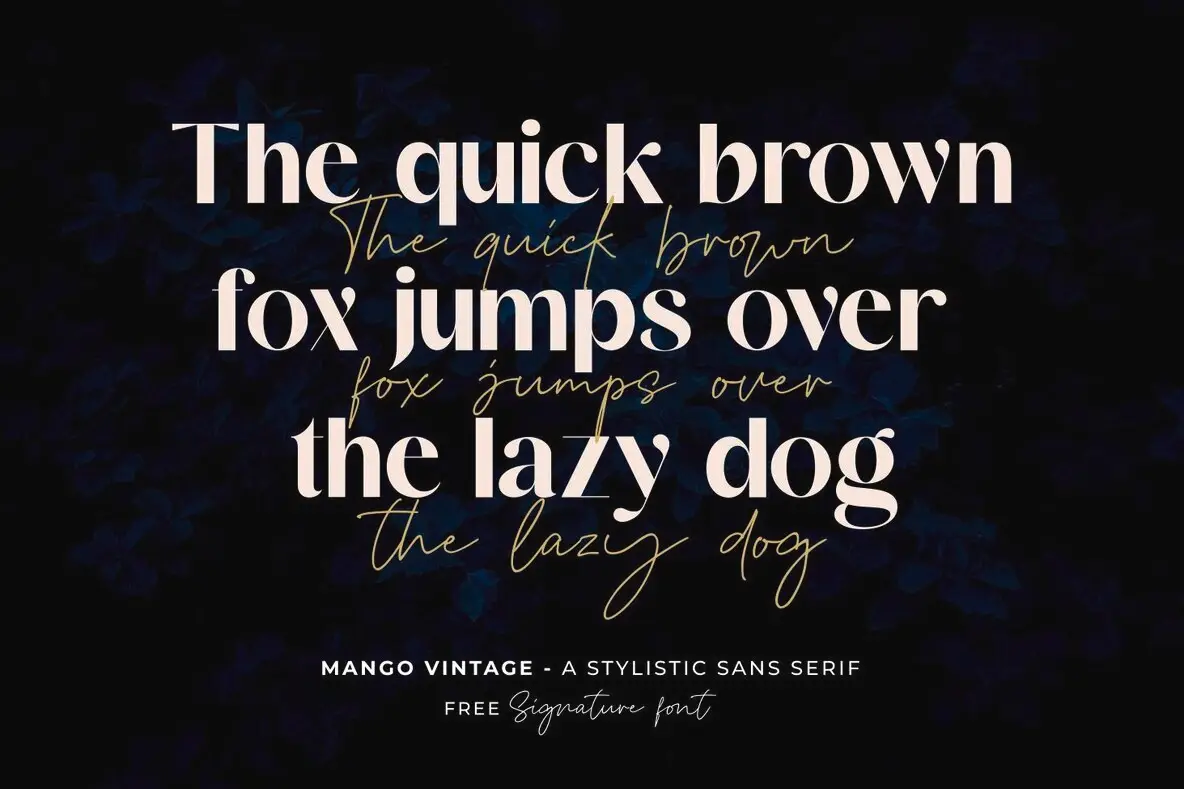 Mango Vintage Font - YouWorkForThem