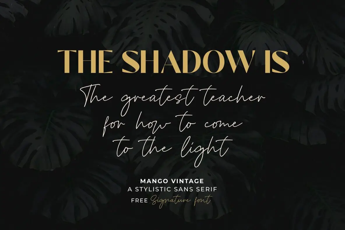 Mango Vintage Font - YouWorkForThem