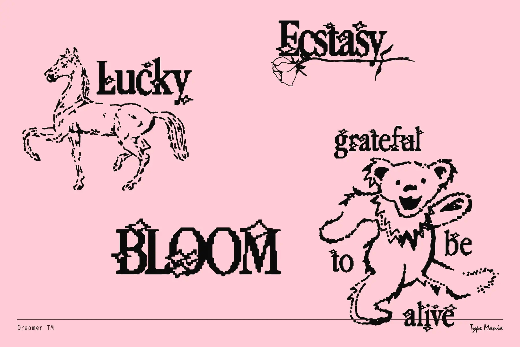 Dreamer TM Font - YouWorkForThem