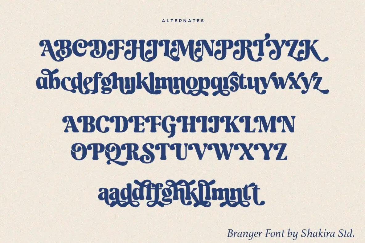 Branger Font - YouWorkForThem