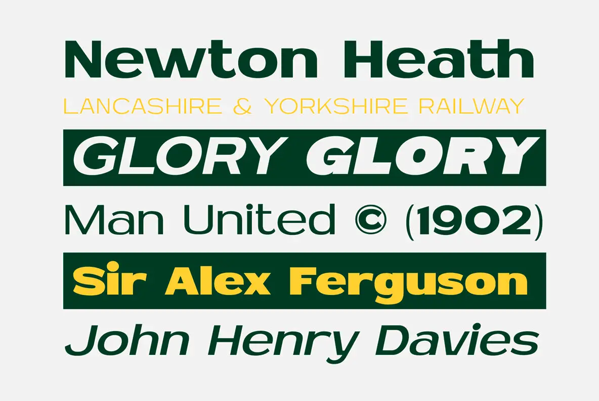 MN Newthon Font - YouWorkForThem