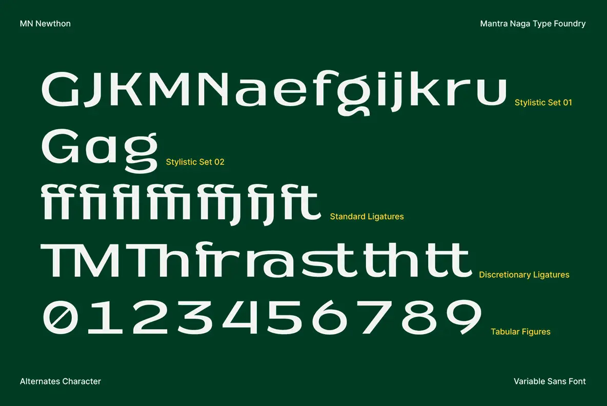 MN Newthon Font - YouWorkForThem