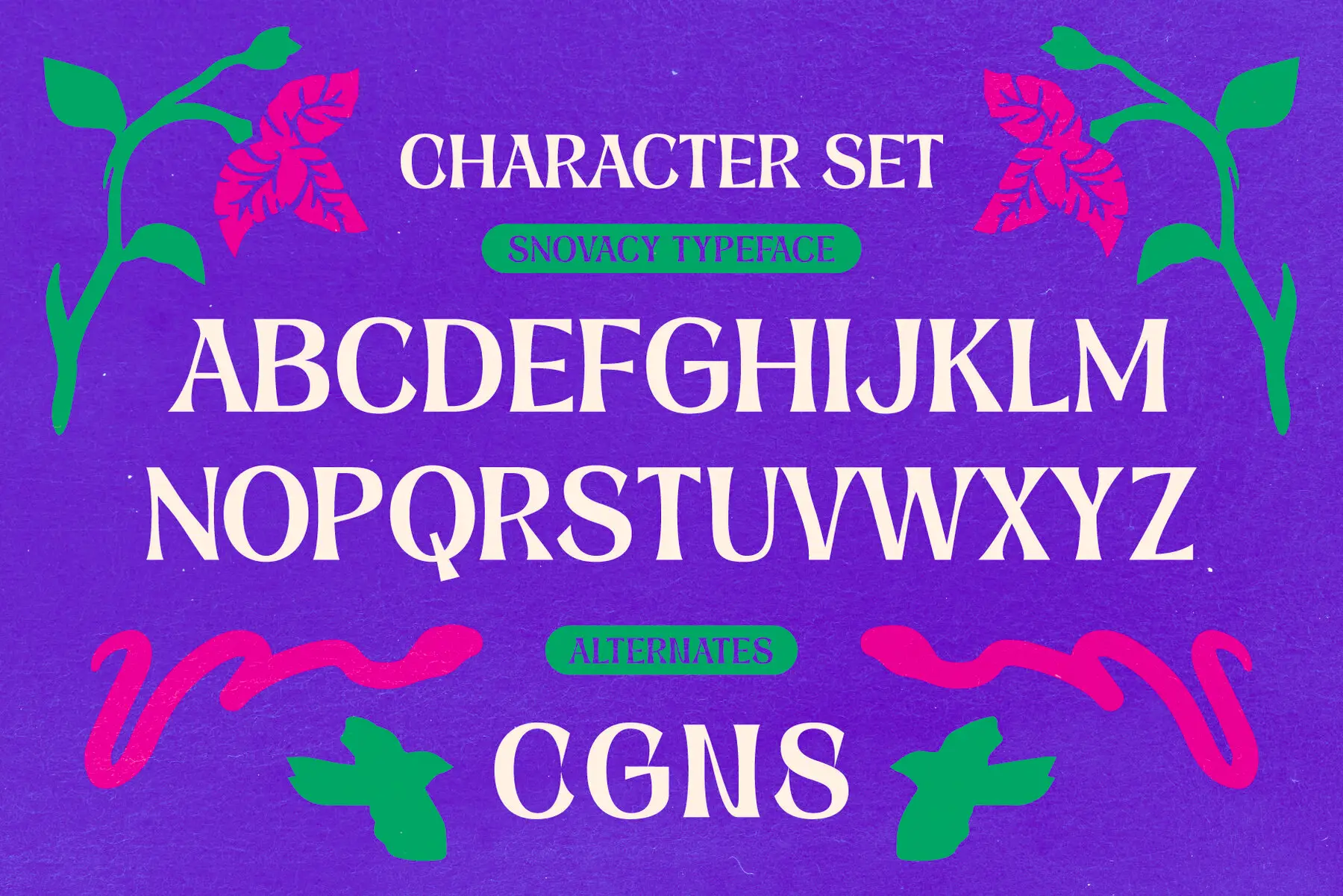 Snovacy Font - YouWorkForThem
