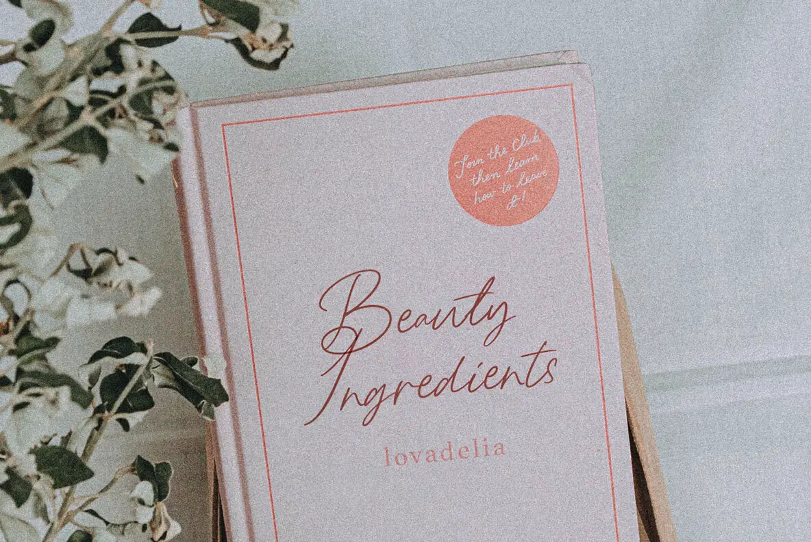 Lovely Britney Font - YouWorkForThem