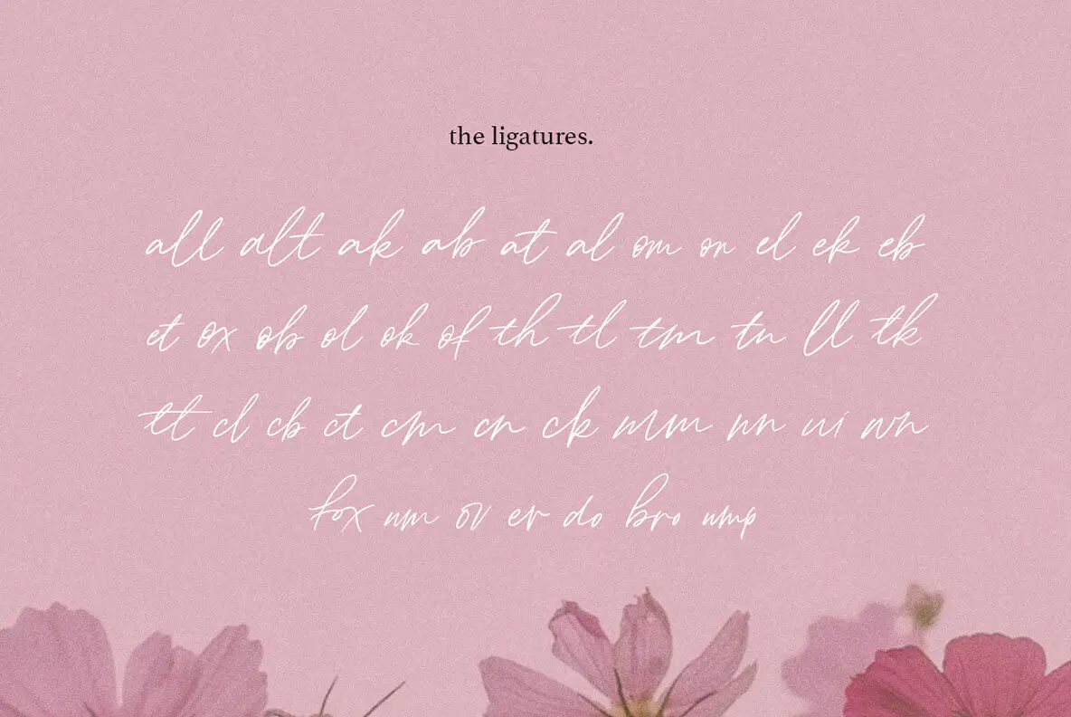 Lovely Britney Font - YouWorkForThem