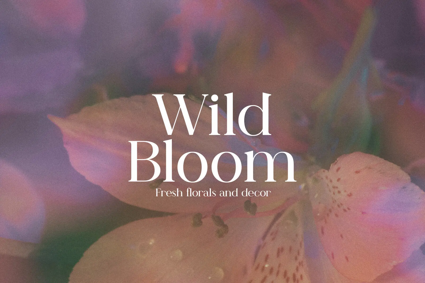 The Charismatic Font - YouWorkForThem