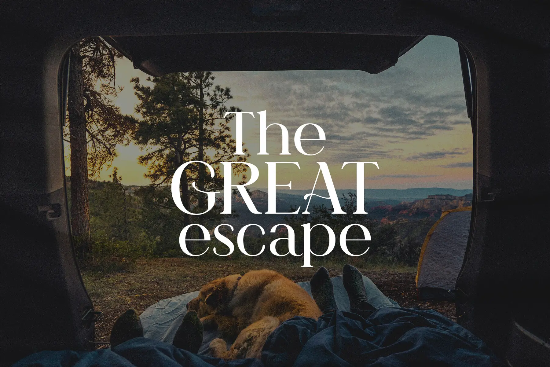 The Charismatic Font - YouWorkForThem