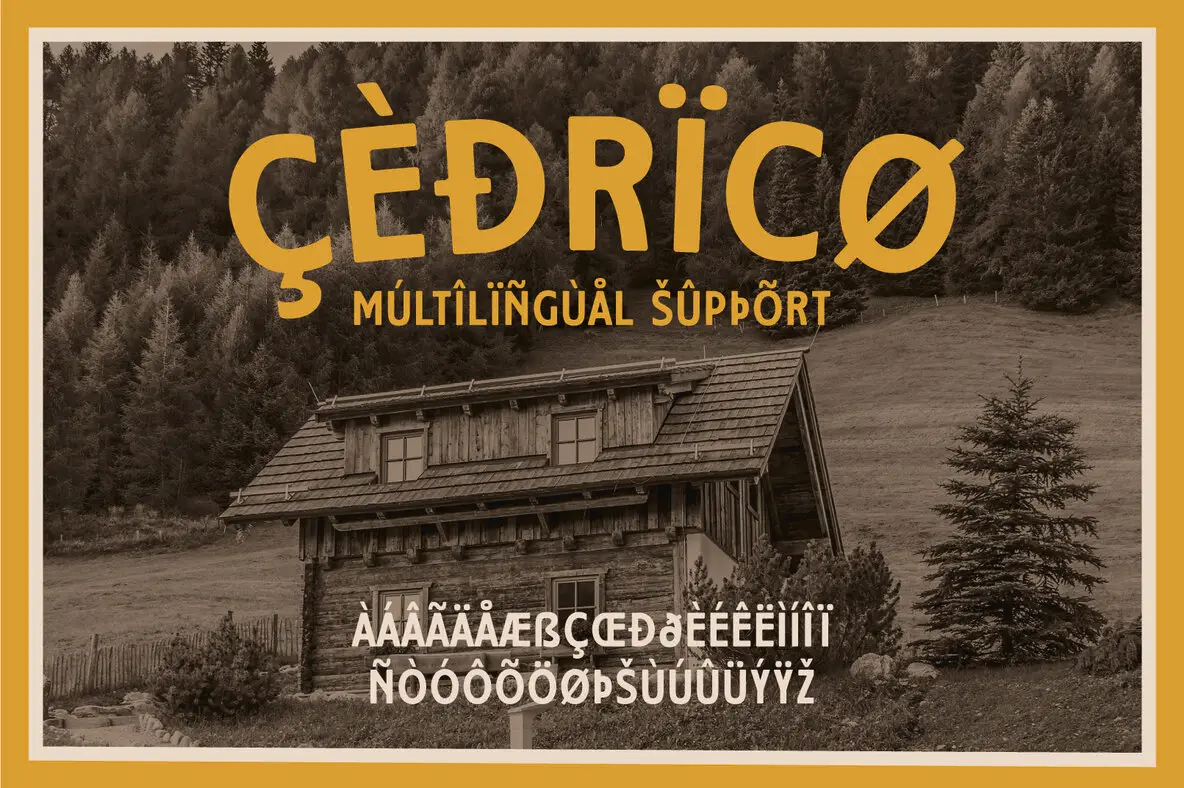 Cedrico Font - YouWorkForThem