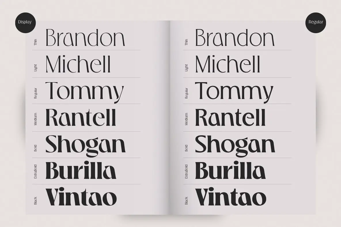 Praya Font - YouWorkForThem
