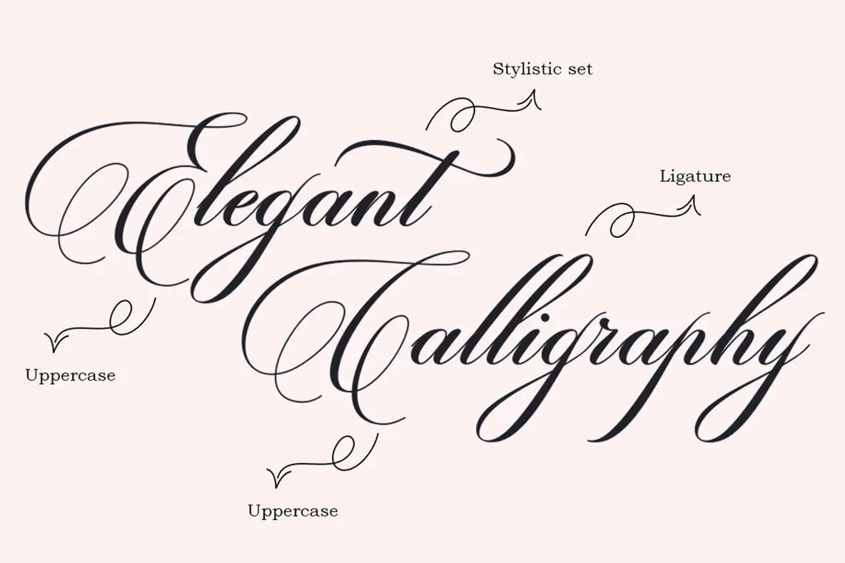 Artistic Script Pro Font - YouWorkForThem