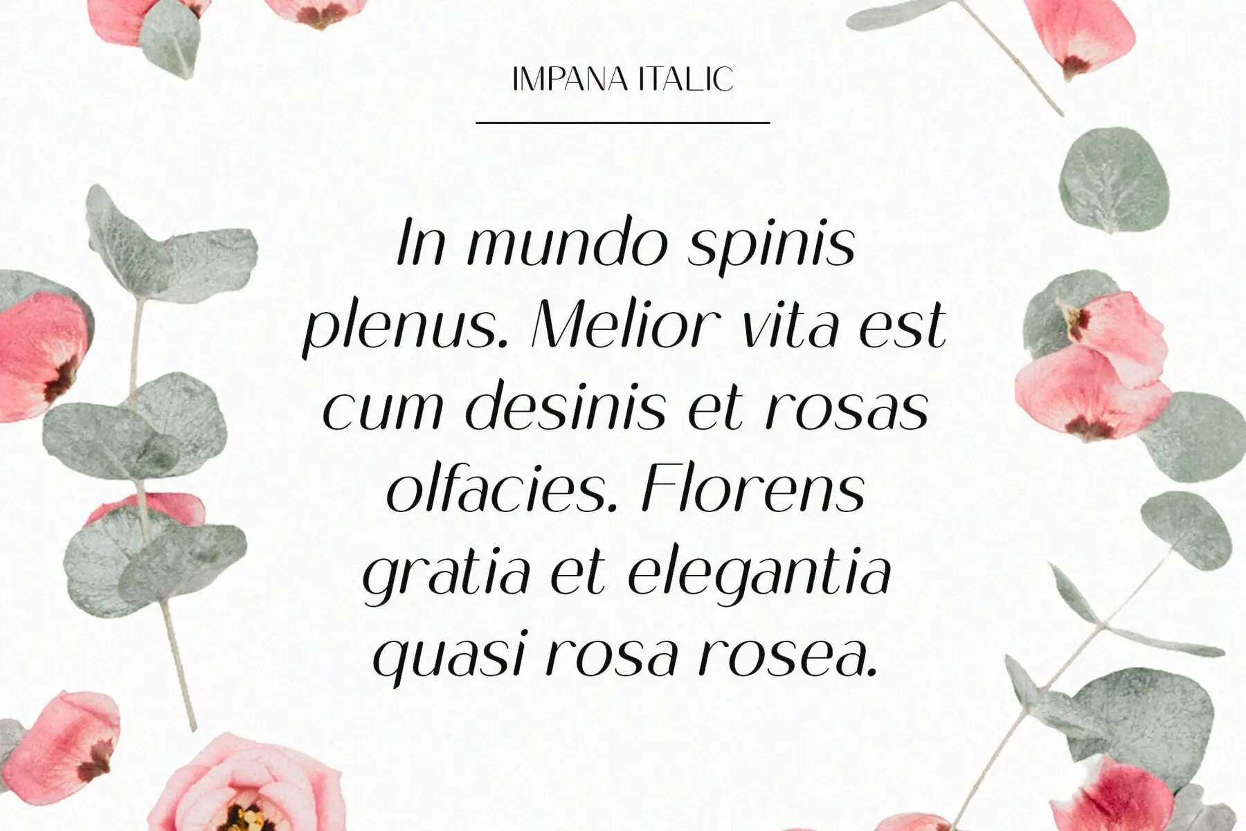 Impana Rounded Font - YouWorkForThem