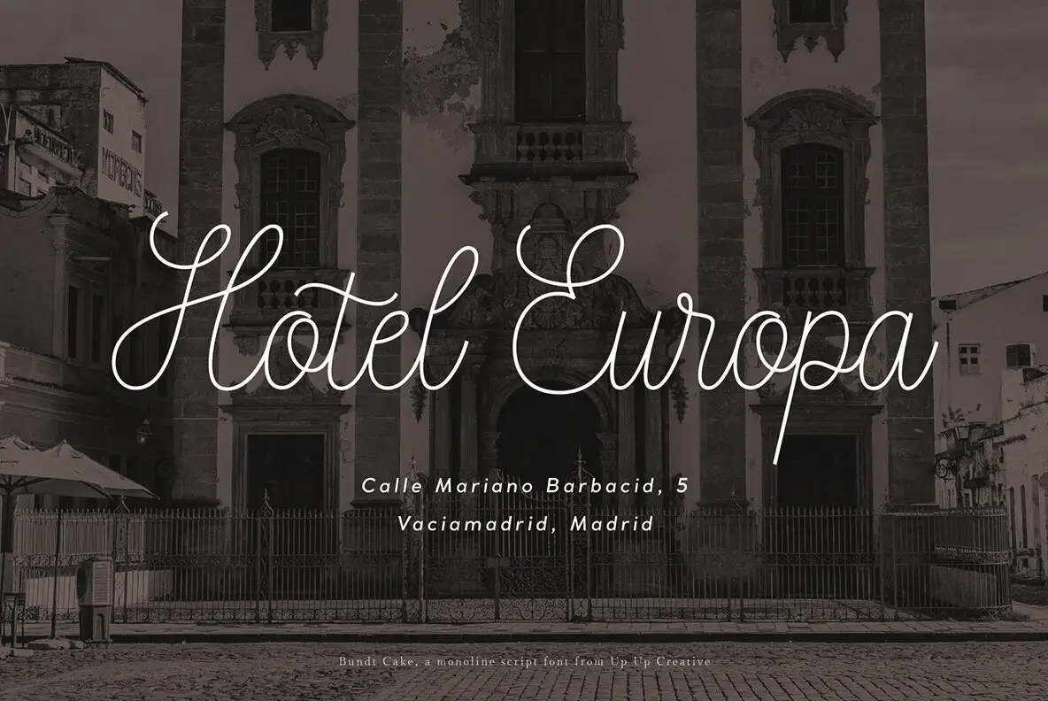 Bundt Cake Script Font - YouWorkForThem