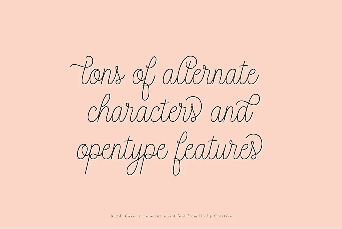 Bundt Cake Script Font - YouWorkForThem