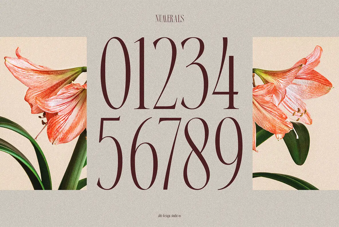 Broshock Font - YouWorkForThem