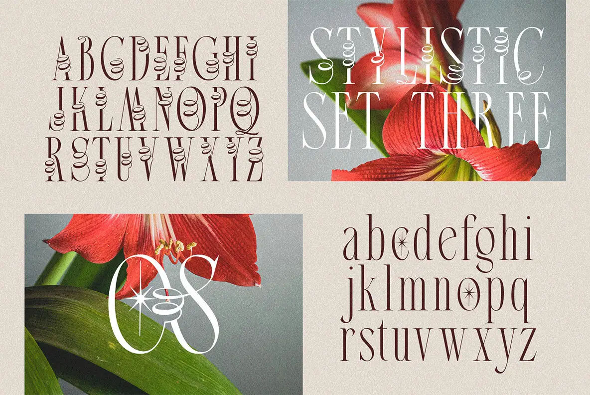 Broshock Font - YouWorkForThem