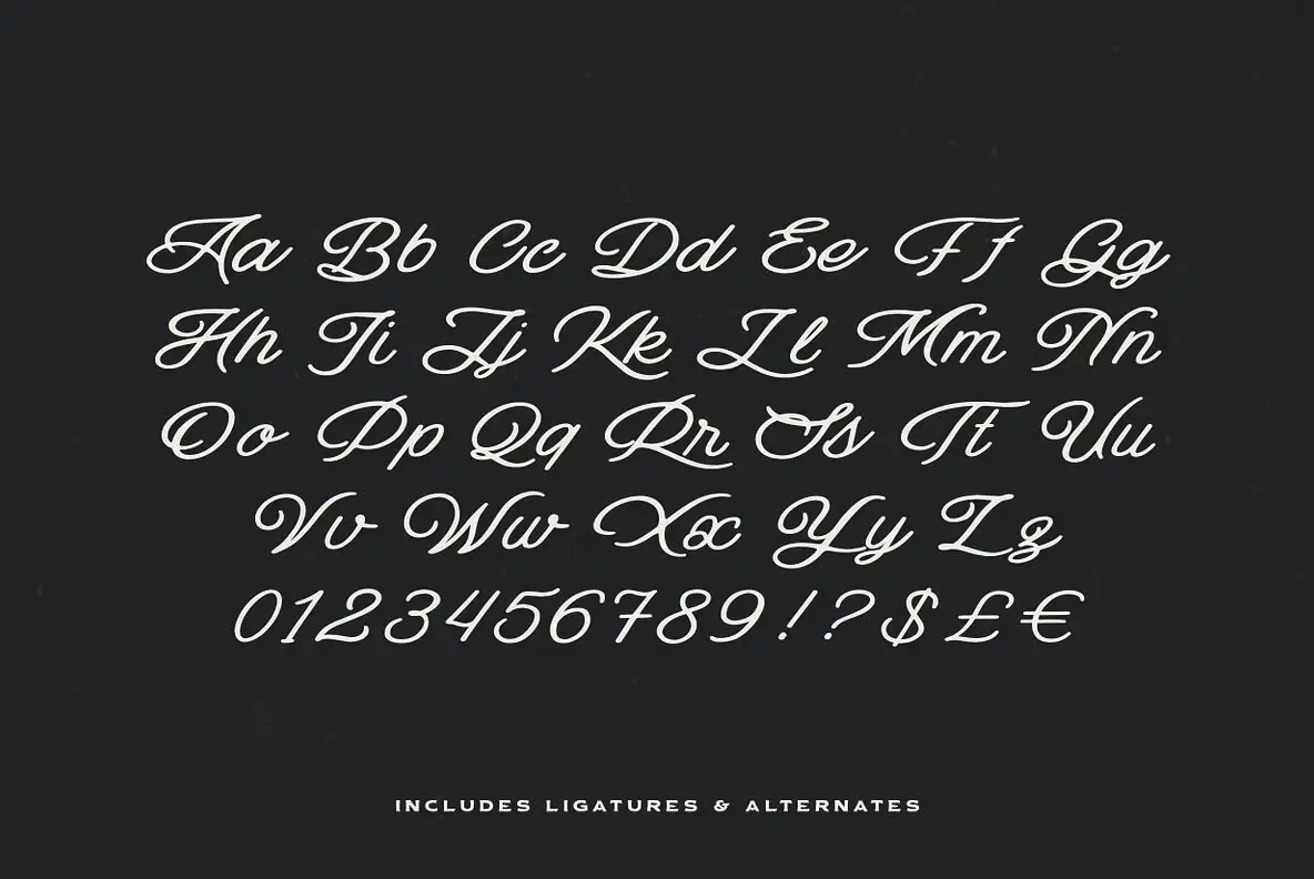 Salt Lake Font - YouWorkForThem