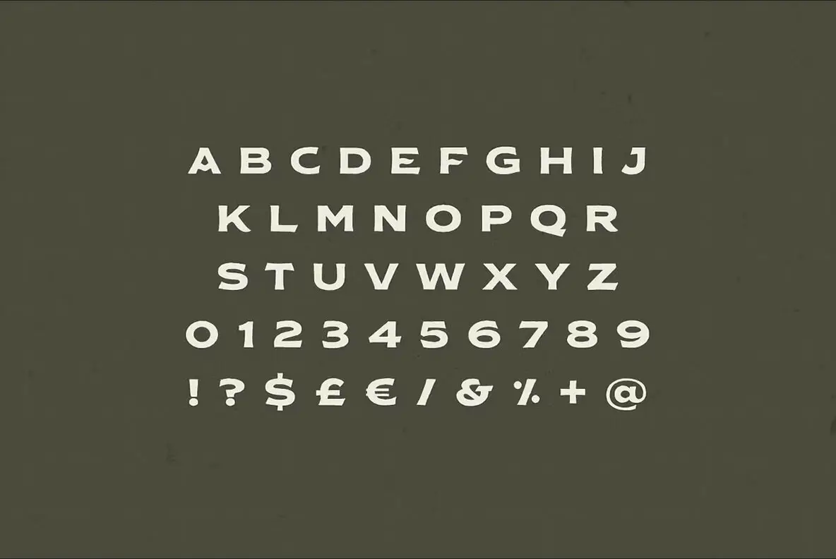 Salt Lake Font - YouWorkForThem