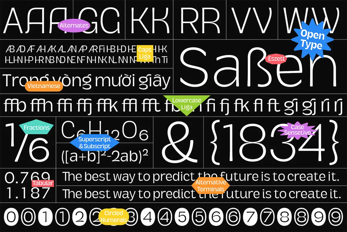 DT Serifia Soft Font - YouWorkForThem