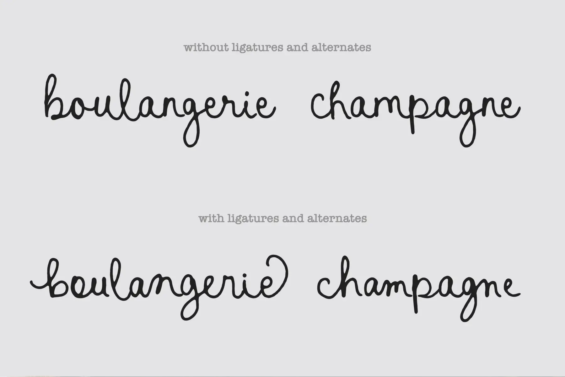 Prosecco and Baguette Font - YouWorkForThem