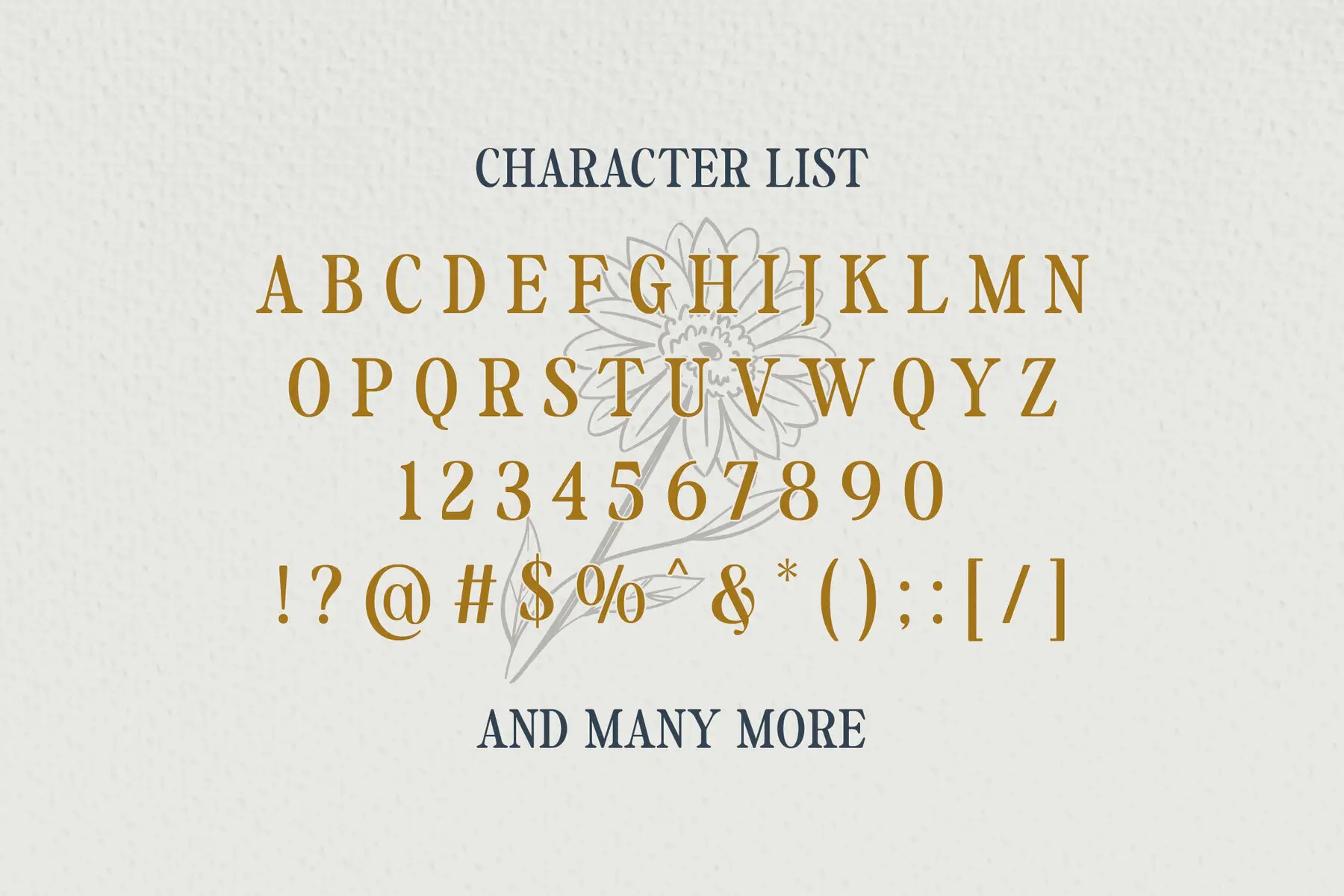 Belya Story Font - YouWorkForThem