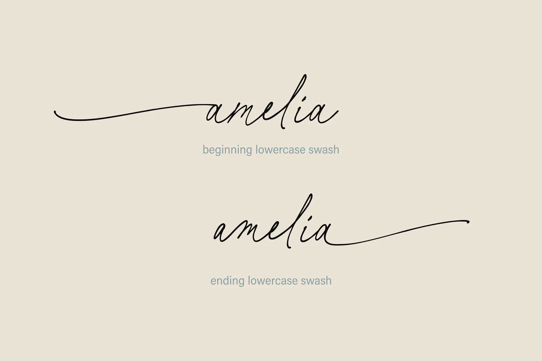 Basil Lime Margarita Font - YouWorkForThem