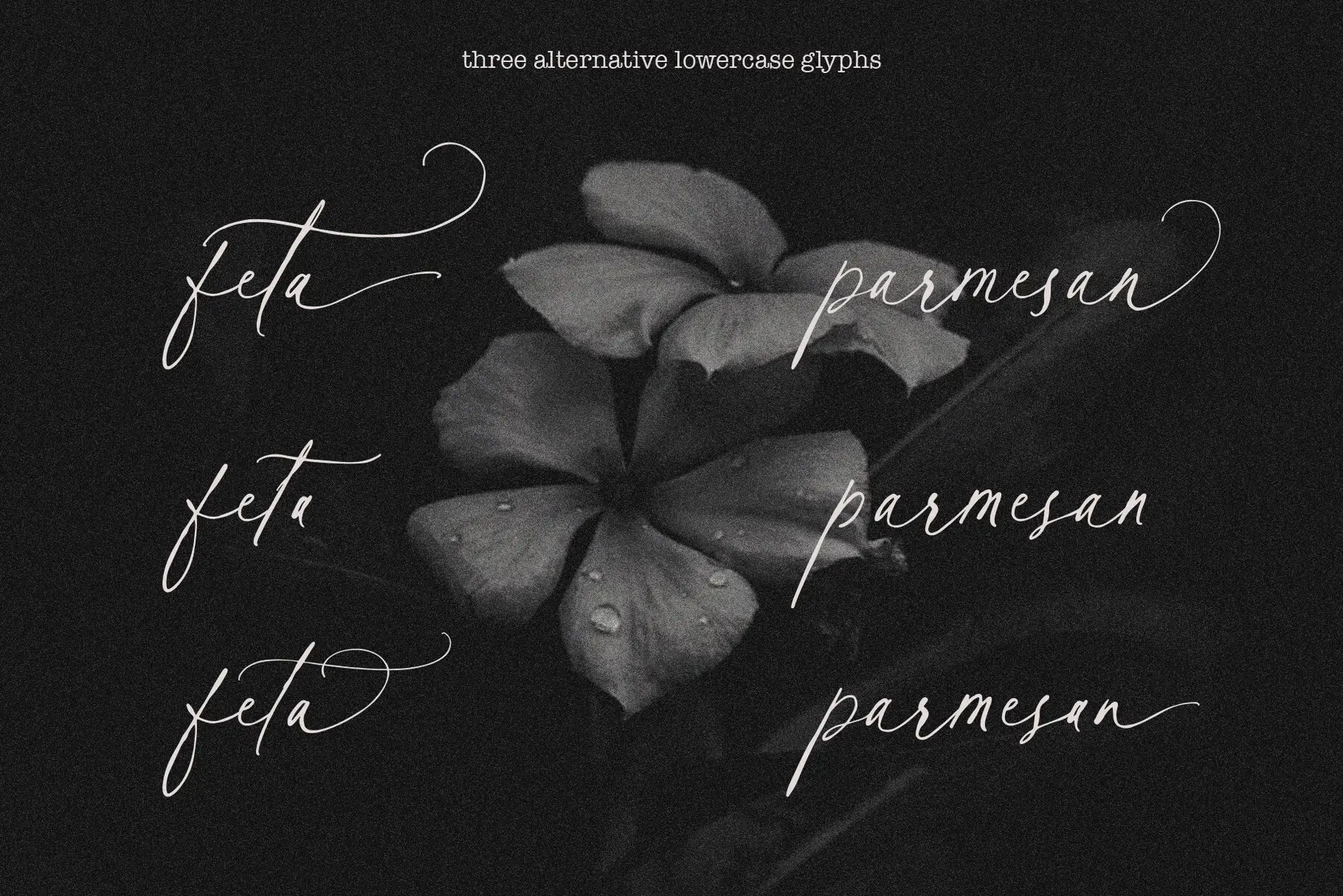 The Enchanted Garden Font - YouWorkForThem